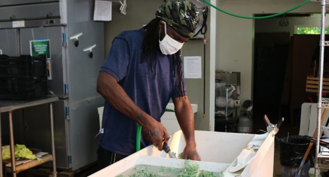 Greater Chicago Food Depository | Chicago's Food Bank