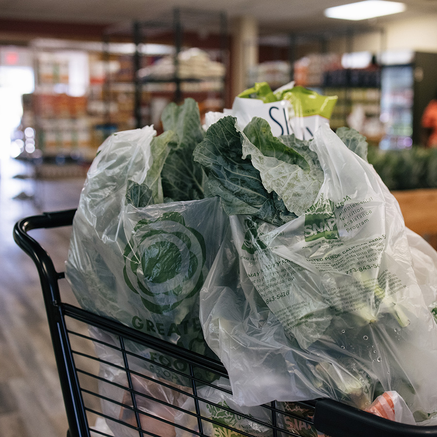 Disabilities and Food Insecurity in Cook County | Greater Chicago Food ...