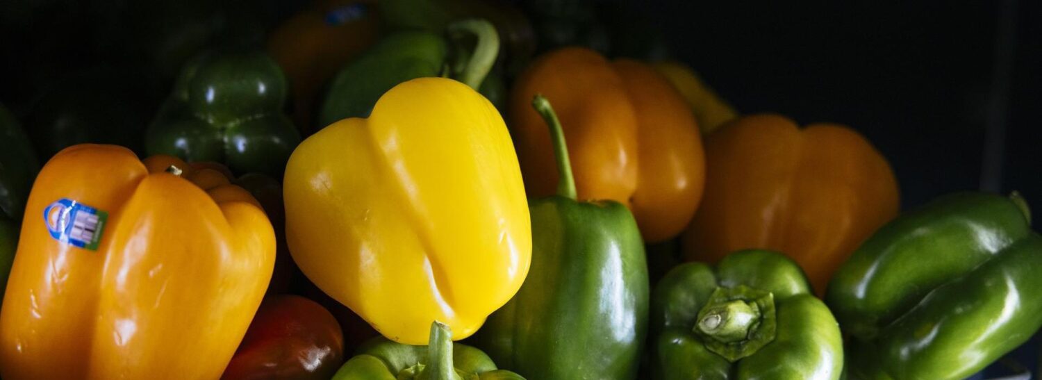 Commodity Supplemental Food Program | Greater Chicago Food Depository