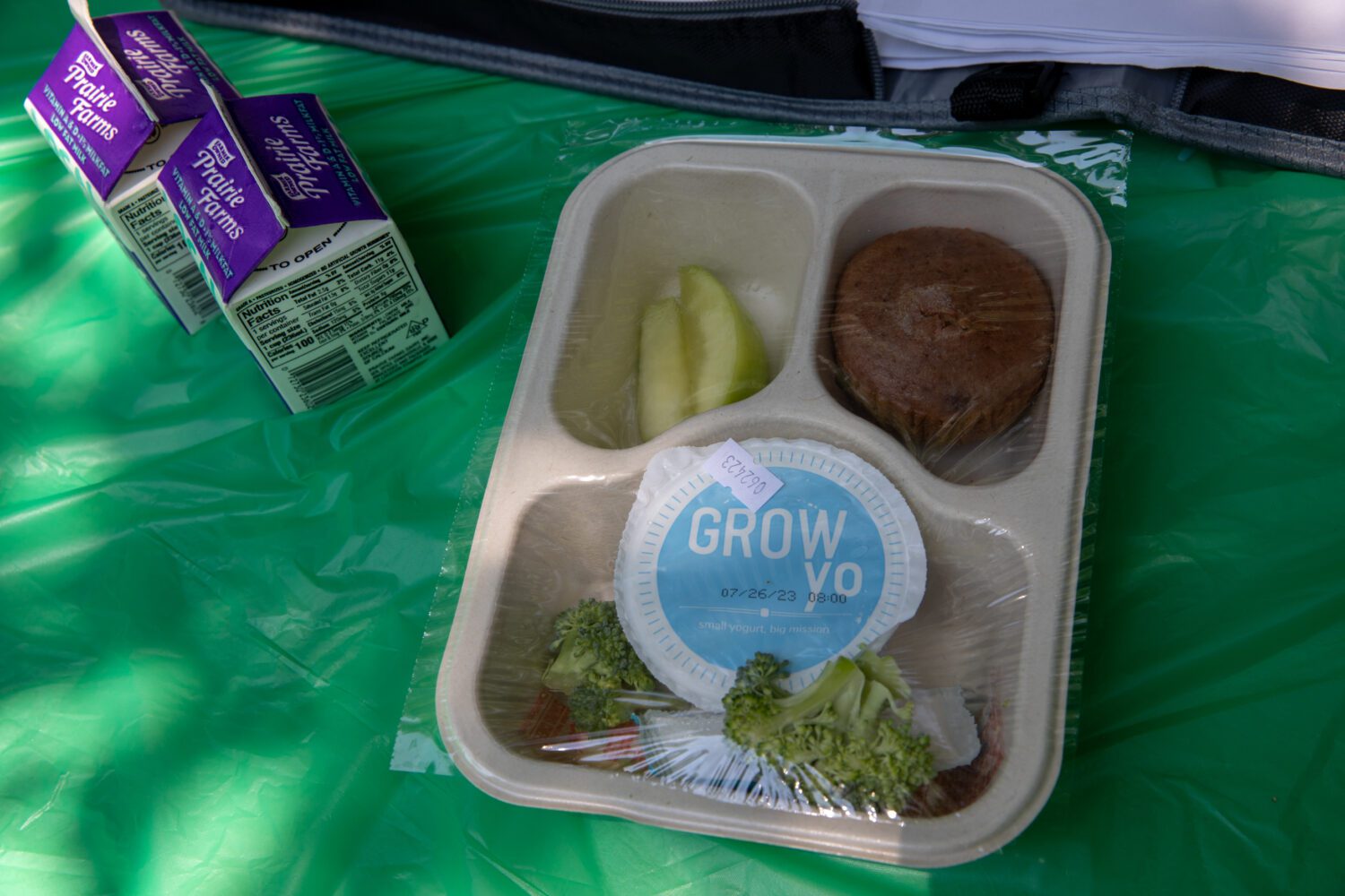 Feeding Youth This Summer | Greater Chicago Food Depository