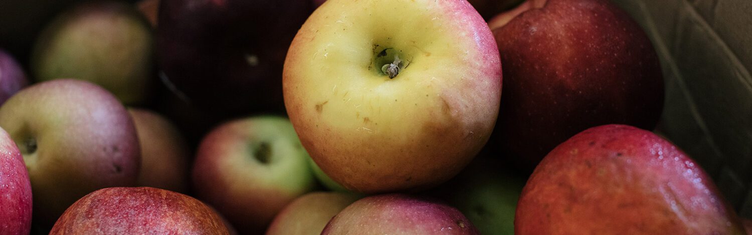 Food Pantry Distributor | Greater Chicago Food Depository