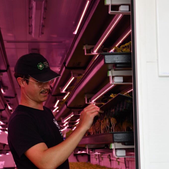 Hydroponics| Greater Chicago Food Depository